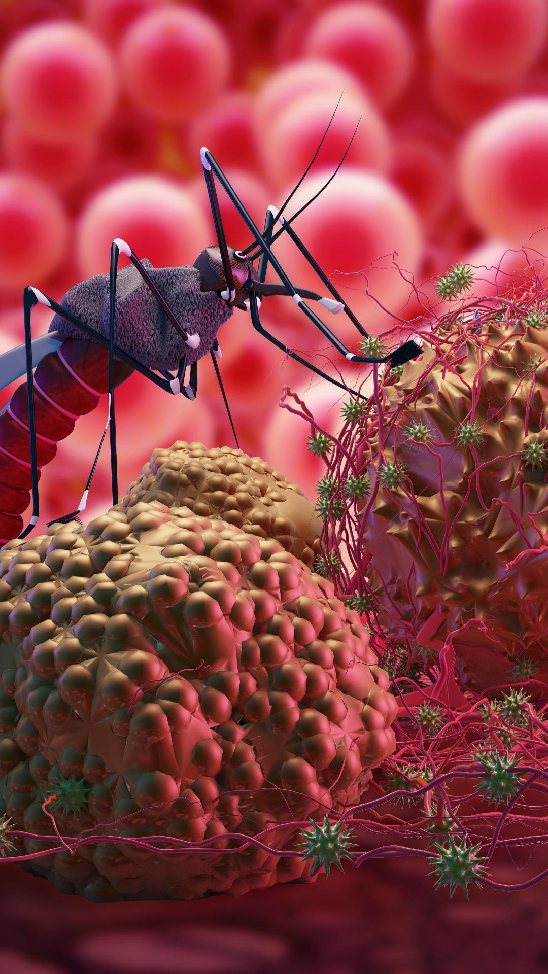 World Malaria Day: Facts You Should Know - Rediff Getahead