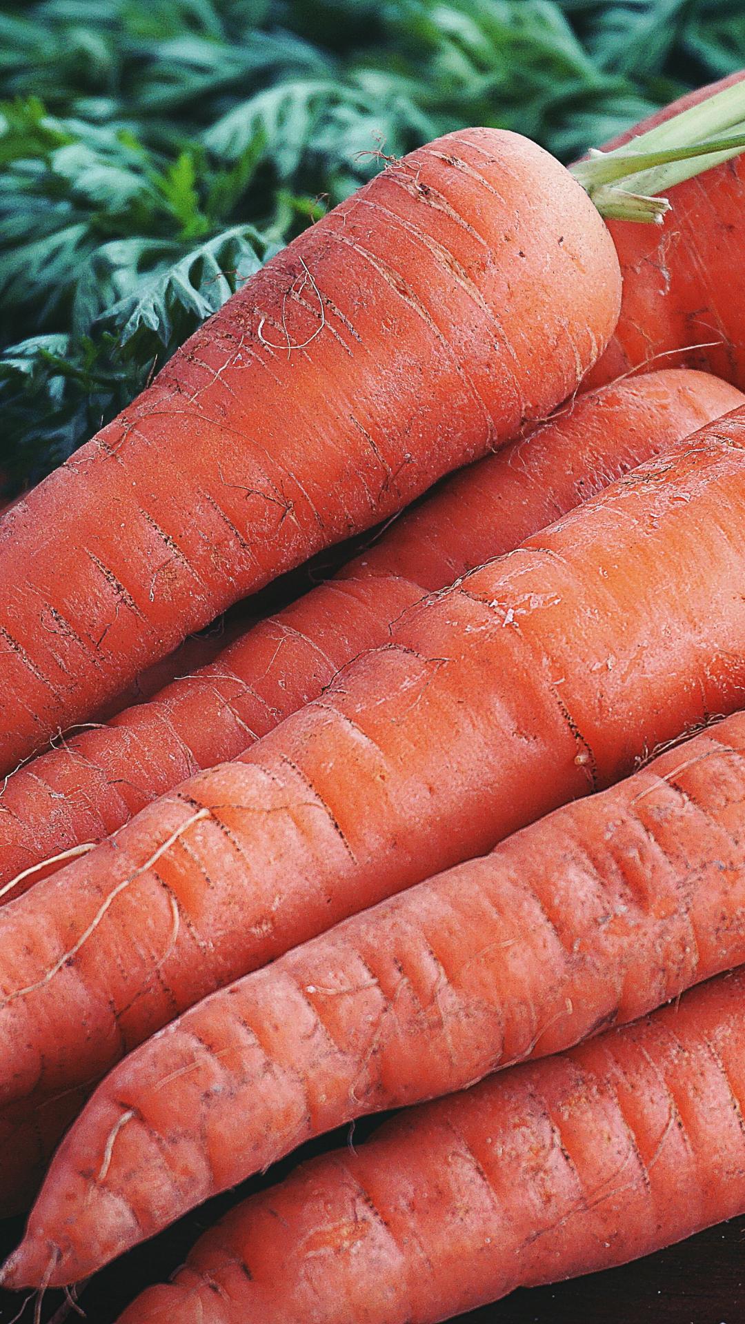 5 Yum Superfood Carrot Recipes You Can Count On - Rediff Getahead