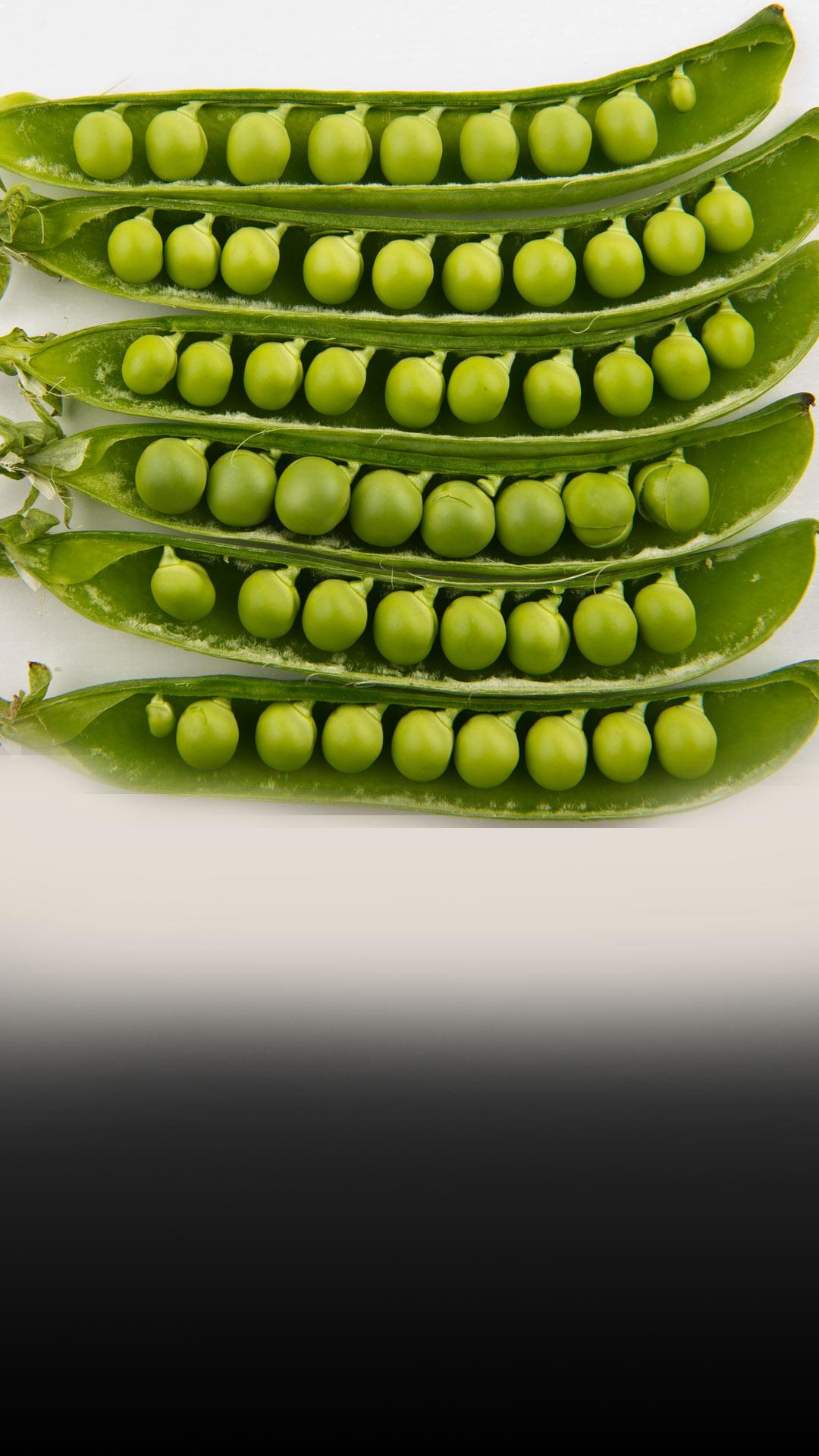 Easy, Peas-y: 17 Lovely Recipes With Peas - Rediff Getahead