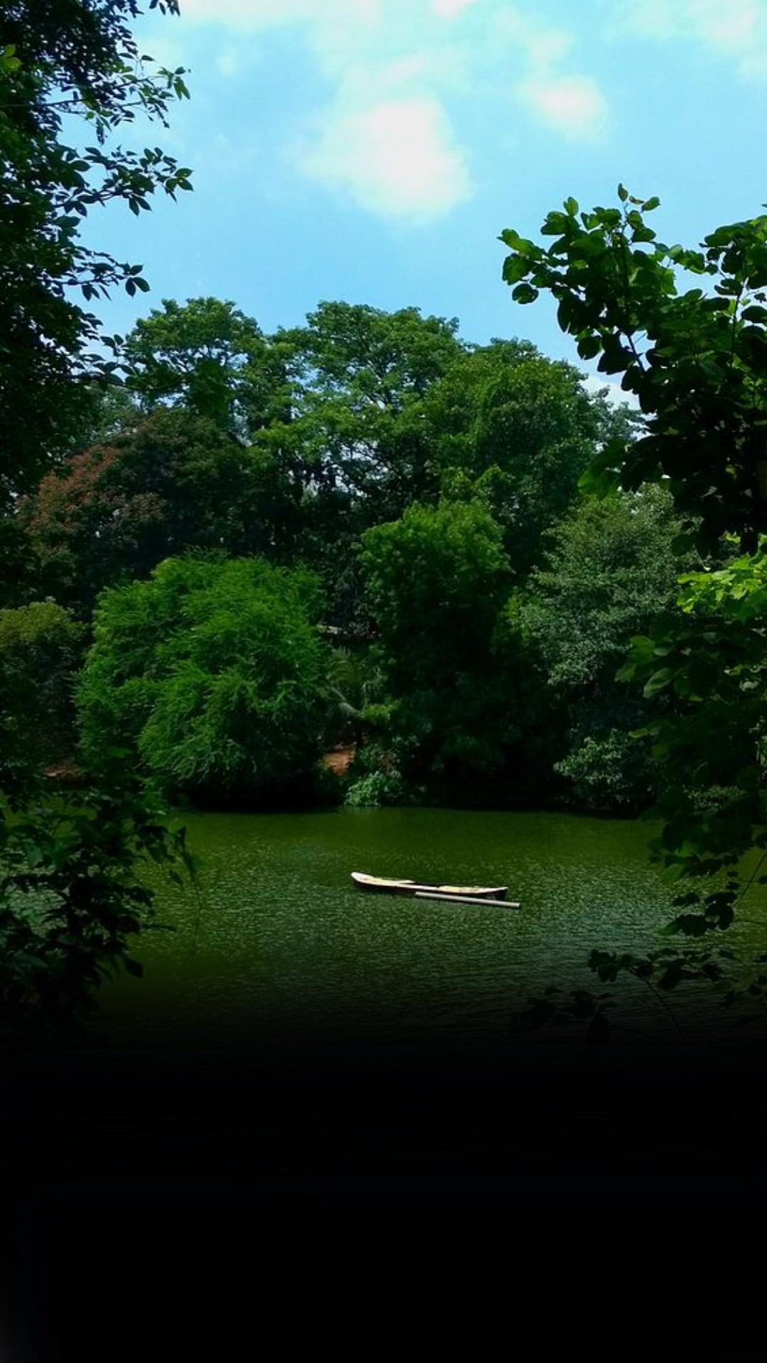 8 Indian States With The Most Forests - Rediff Getahead