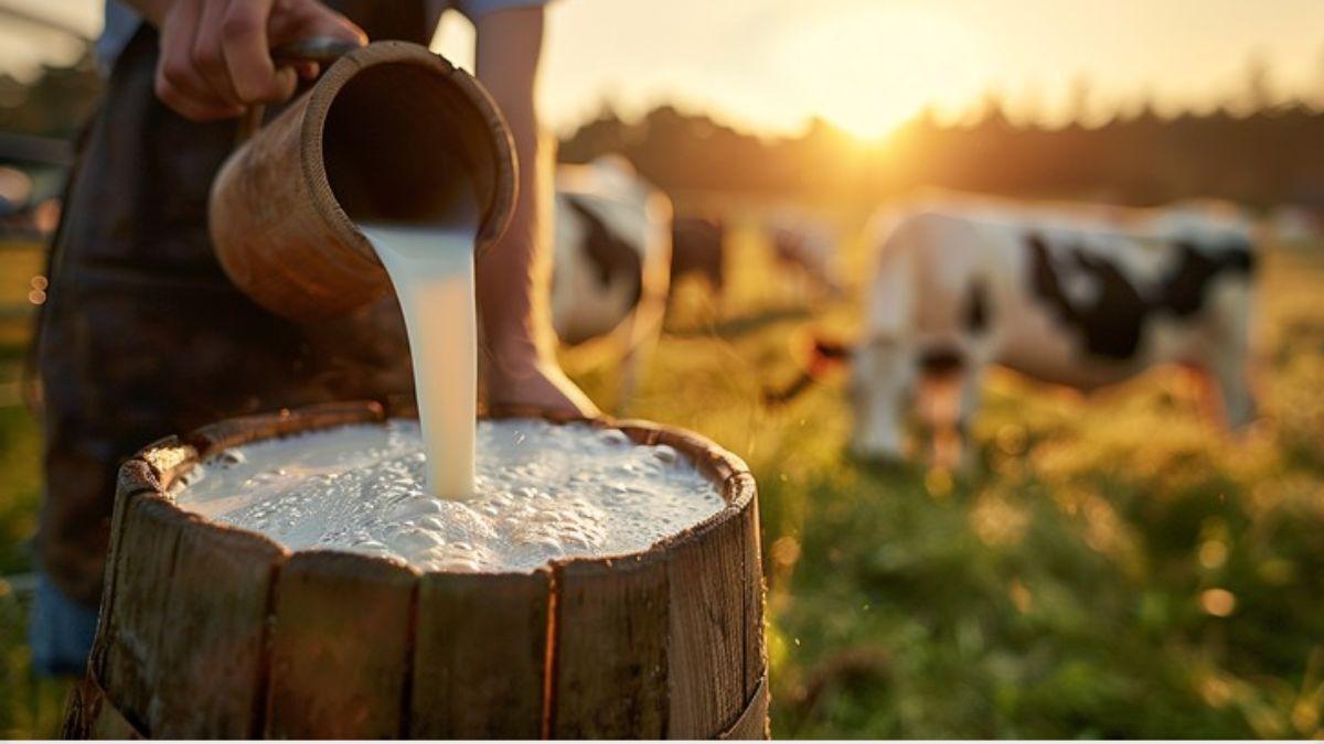Which Country Produces The Most Milk? | Rediff-TV | Rediff.com