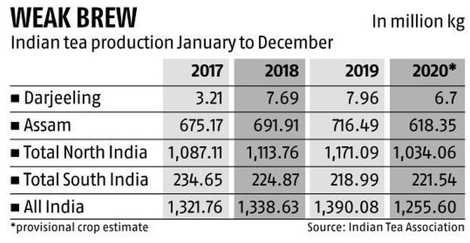 Is Darjeeling Tea Losing its Fizz? - Rediff.com Business Is Darjeeling Tea Losing its Fizz? - Rediff.com Business